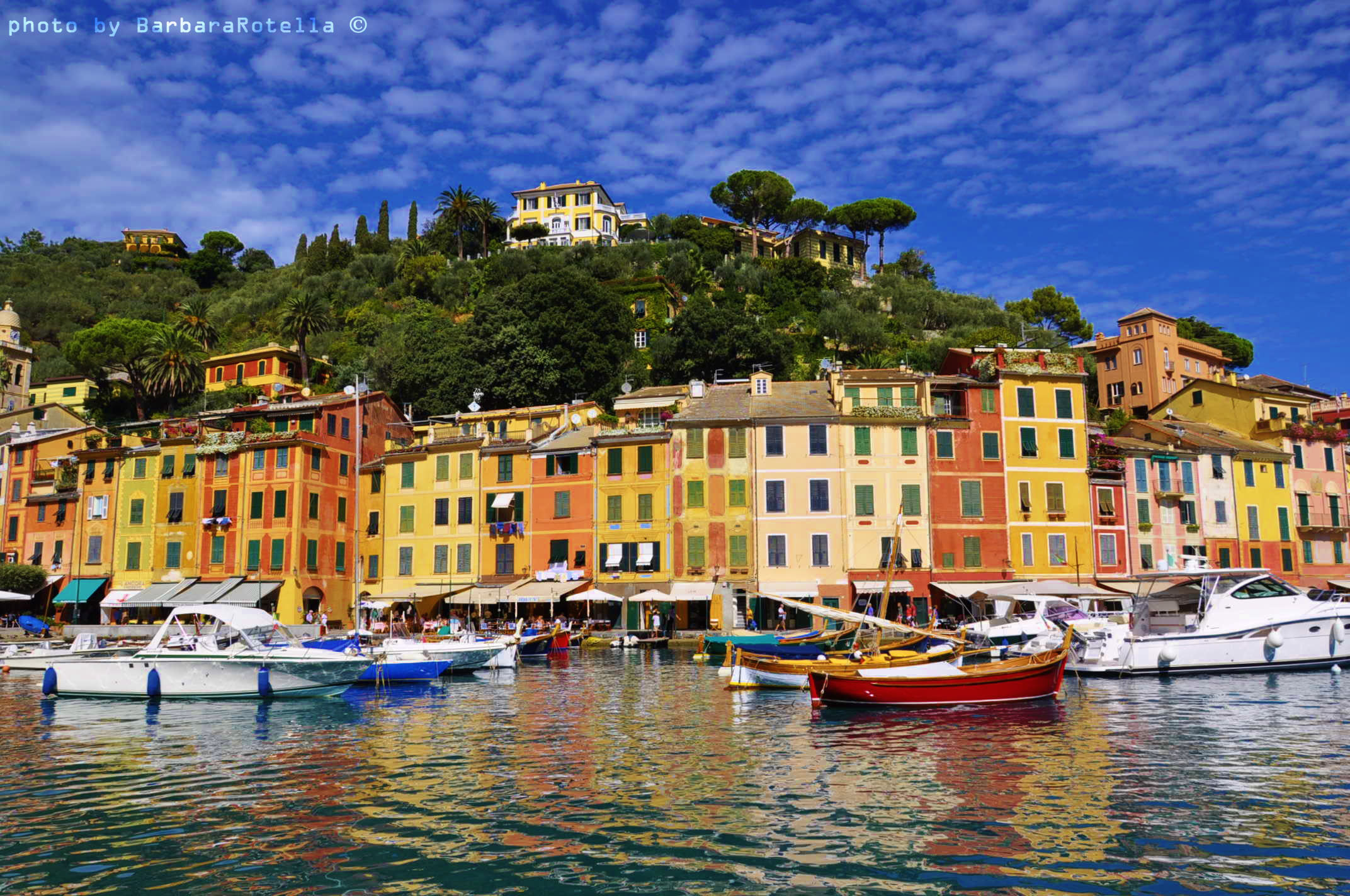 How To Make Seafood Portofino | cubegg26